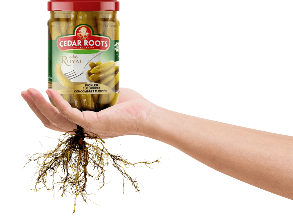 About | Cedar Roots E-Shop